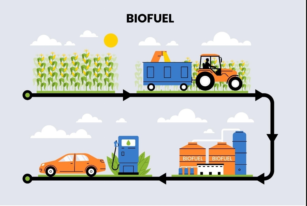 How Biogas Is Shaping the Future of Renewable Energy | Certrec